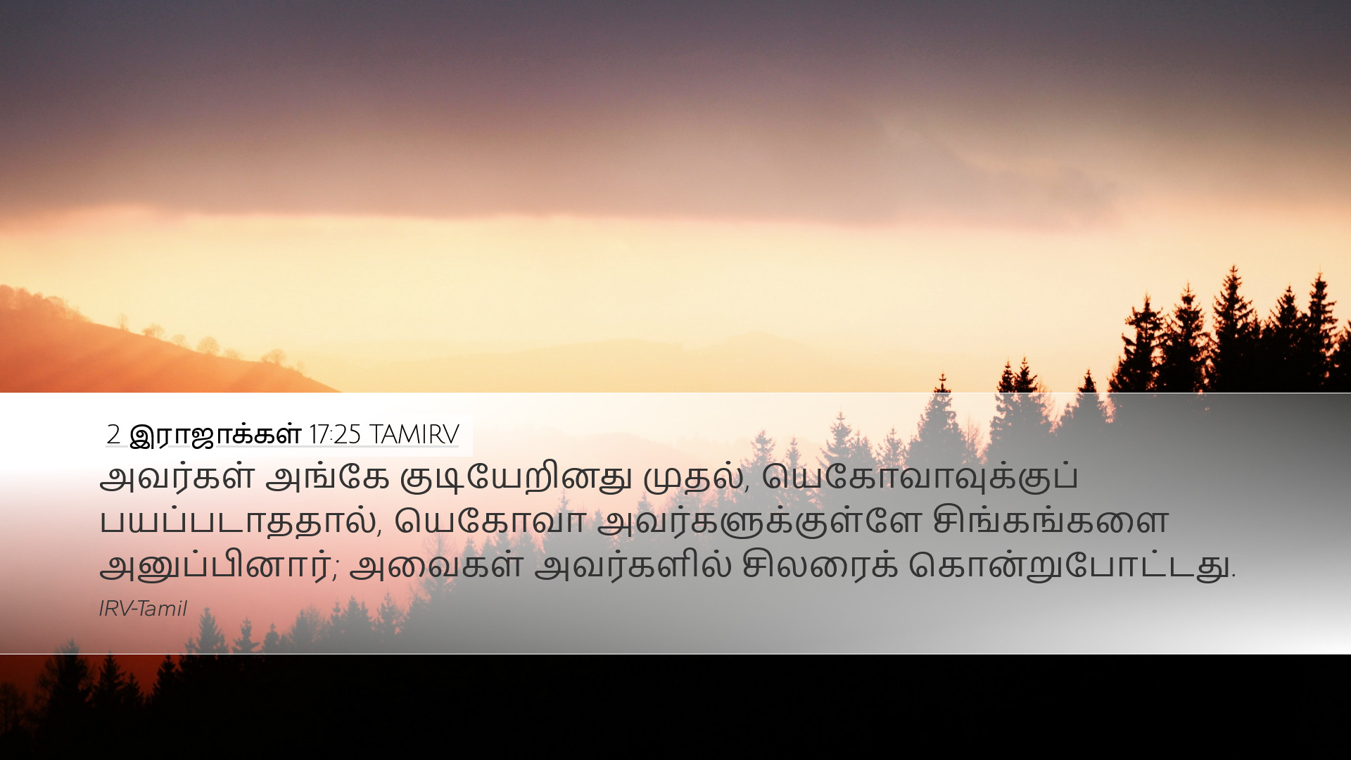2 இராஜாக்கள் 17:25 TAMIRV Desktop Wallpaper - அவர்கள் அங்கே