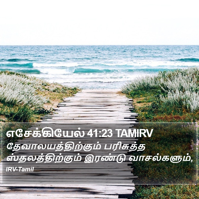 எசேக்கியேல் 41:23 TAMIRV - தேவாலயத்திற்கும்