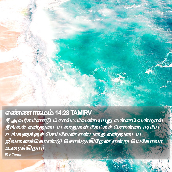 எண்ணாகமம் 14:28 TAMIRV - நீ அவர்களோடு