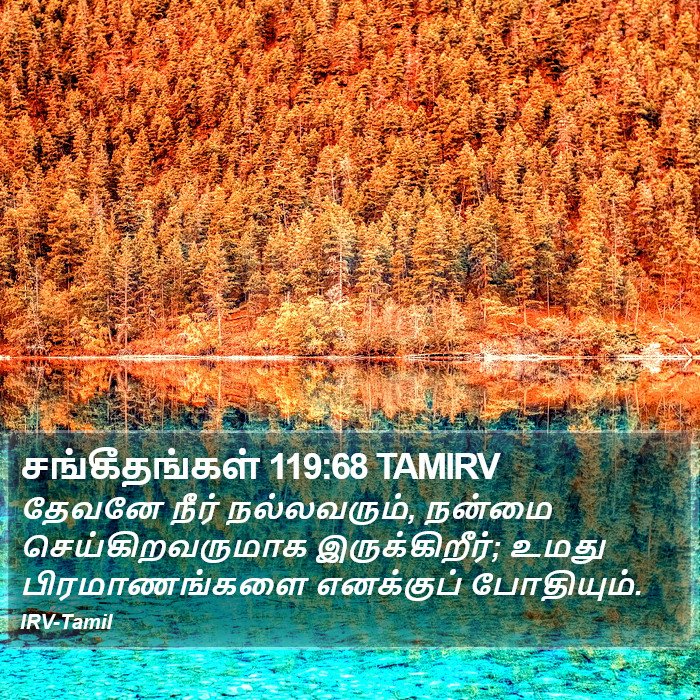 சங்கீதங்கள் 119:68 TAMIRV - தேவனே நீர்