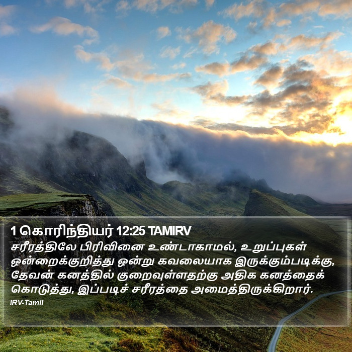 1 கொரிந்தியர் 12:25 TAMIRV - சரீரத்திலே